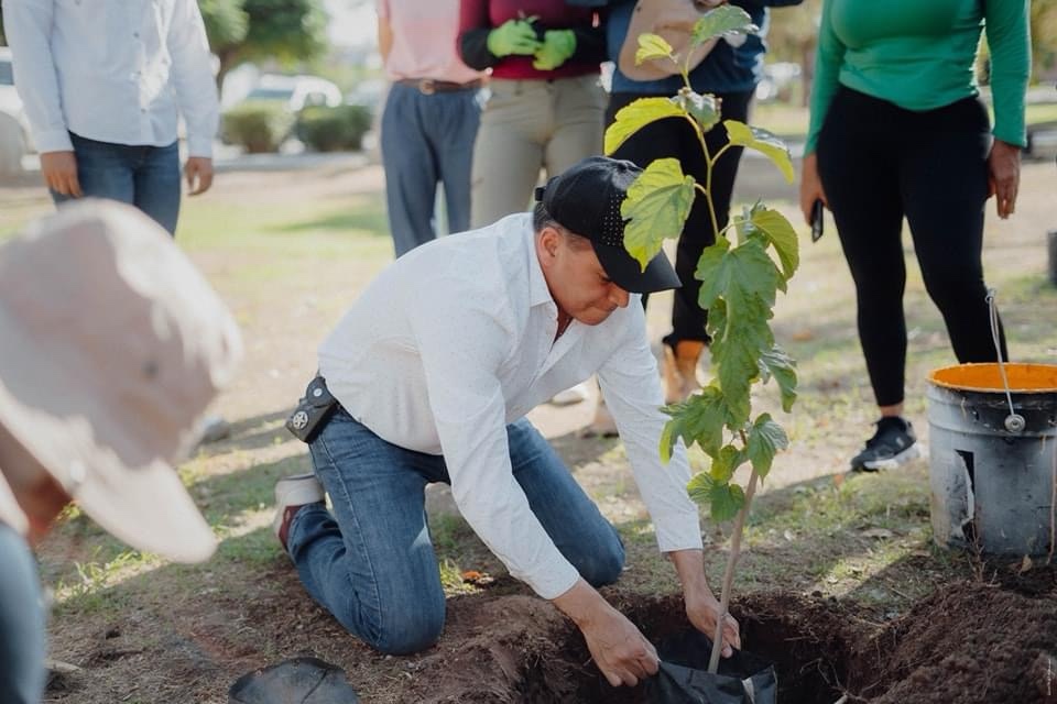 PONEN EN MARCHA LA REFORESTACIÓN DE JUÁREZ – La Mira Digital