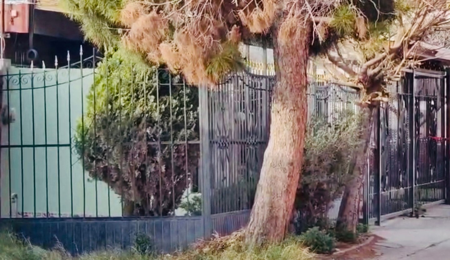 LE DIO PISO A SU JEFITO, MUJER ENCUENTRA EL CUERPO ENCOBIJADO – La Mira ...